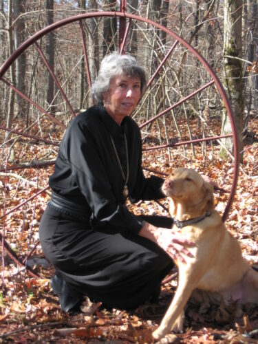 Library Highlights Civil War History in First-Person Storytelling ...